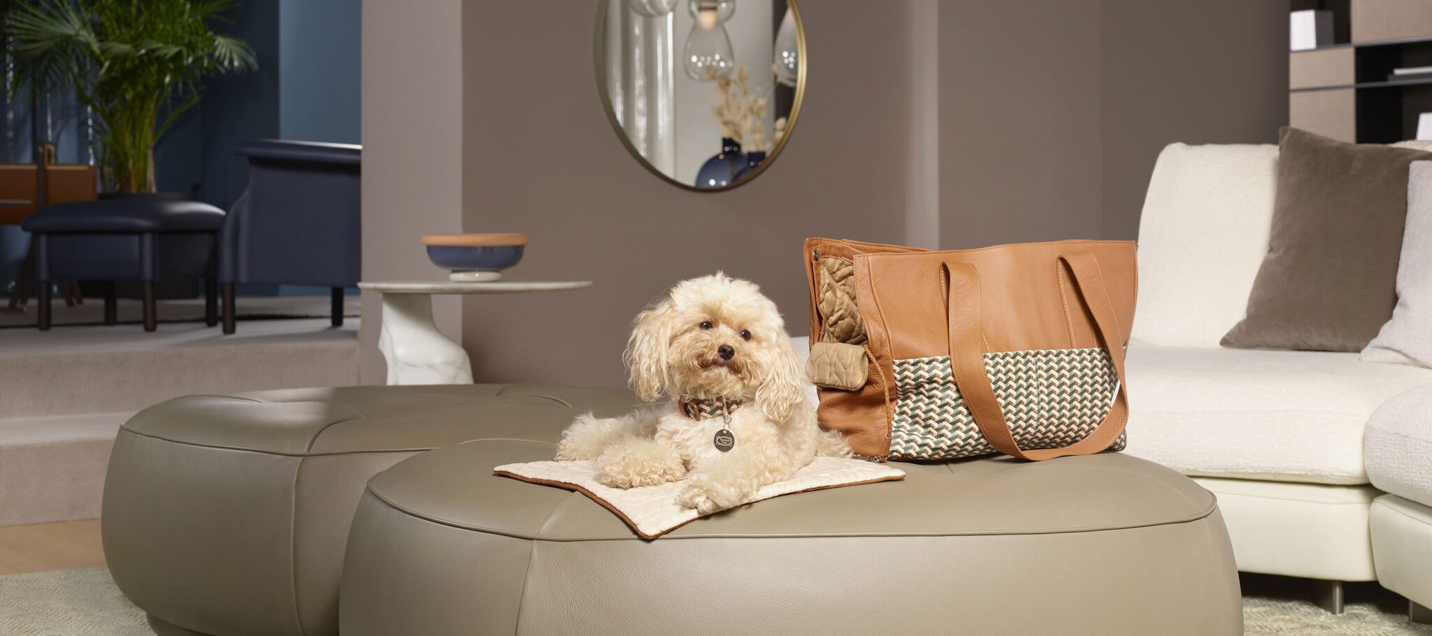 Poltrona Frau Pet Collection | Corporate Interior Systems
